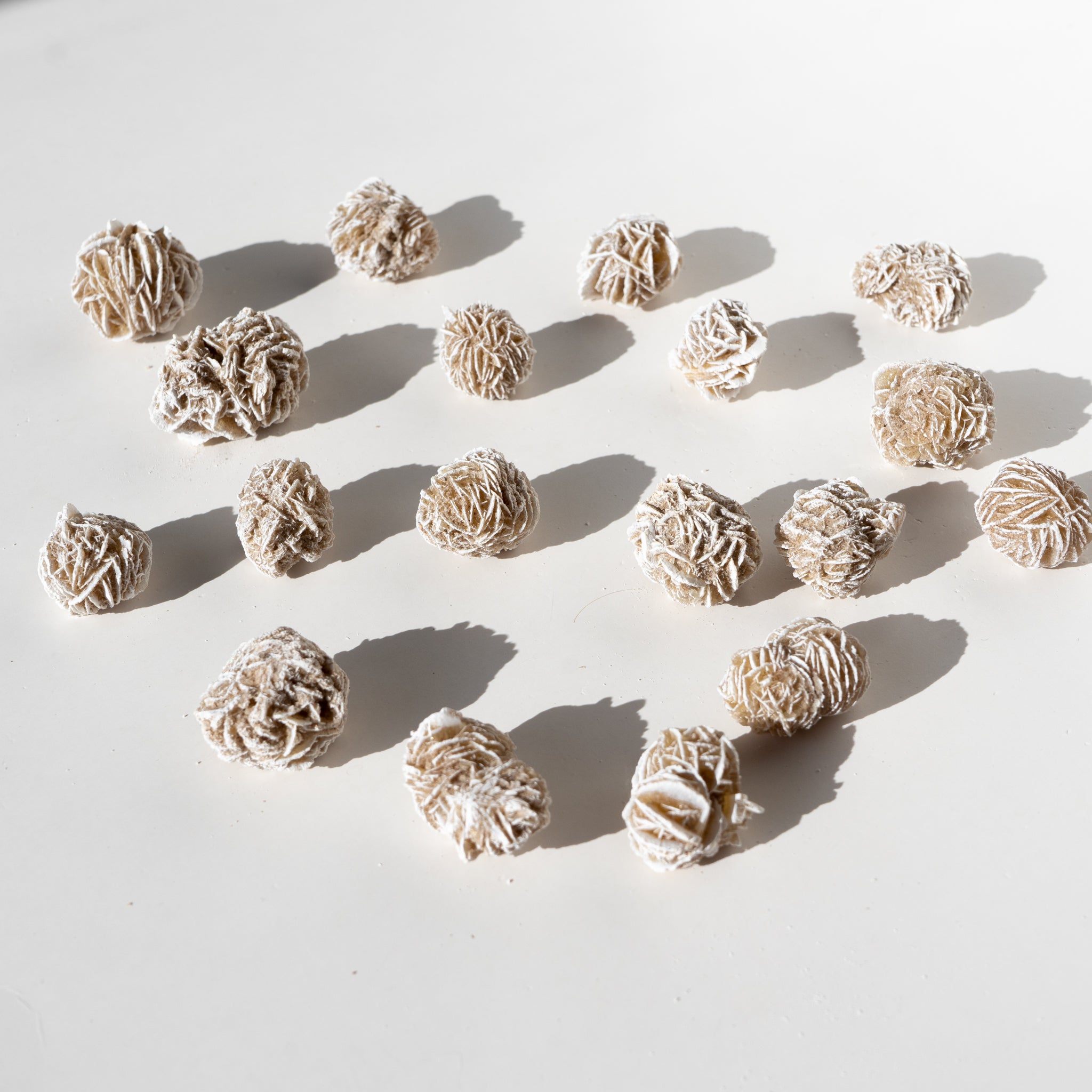 Mini Desert Rose – Azura Naturals